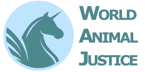 World Animal Justice: Defend animal rights-End animal crimes- Law
