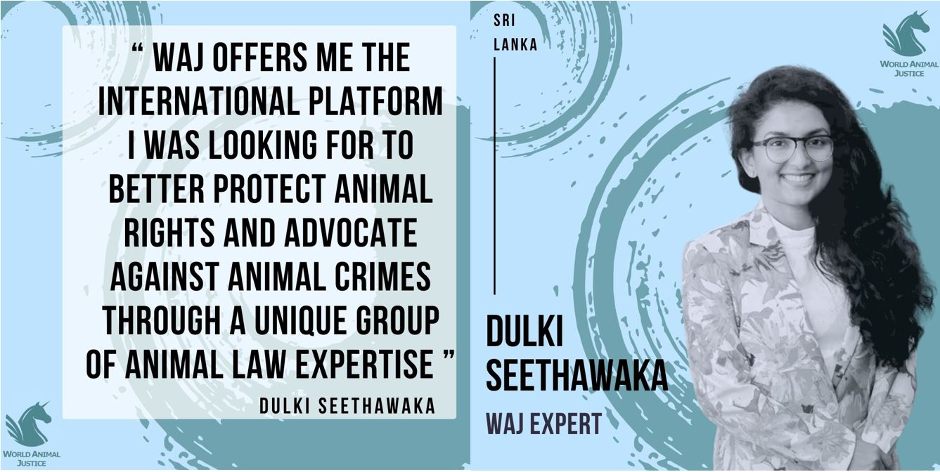 Experts - World Animal Justice