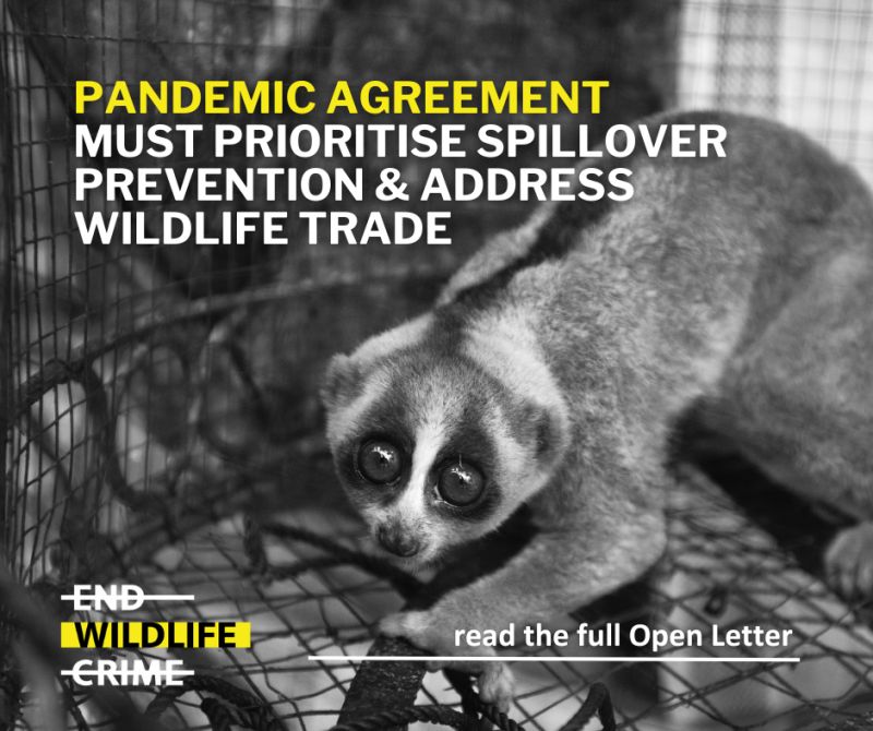 Info - World Animal Justice