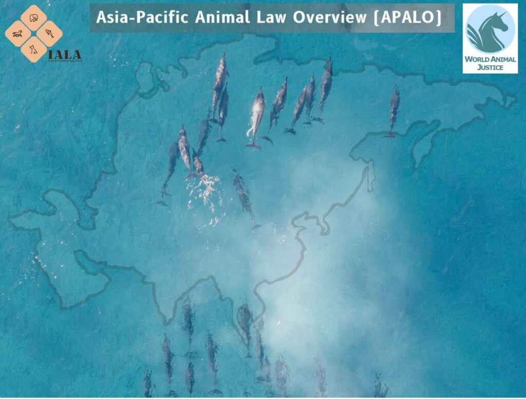 Comparative Analysis of the Asia-Pacific Animal Law Overview - World ...