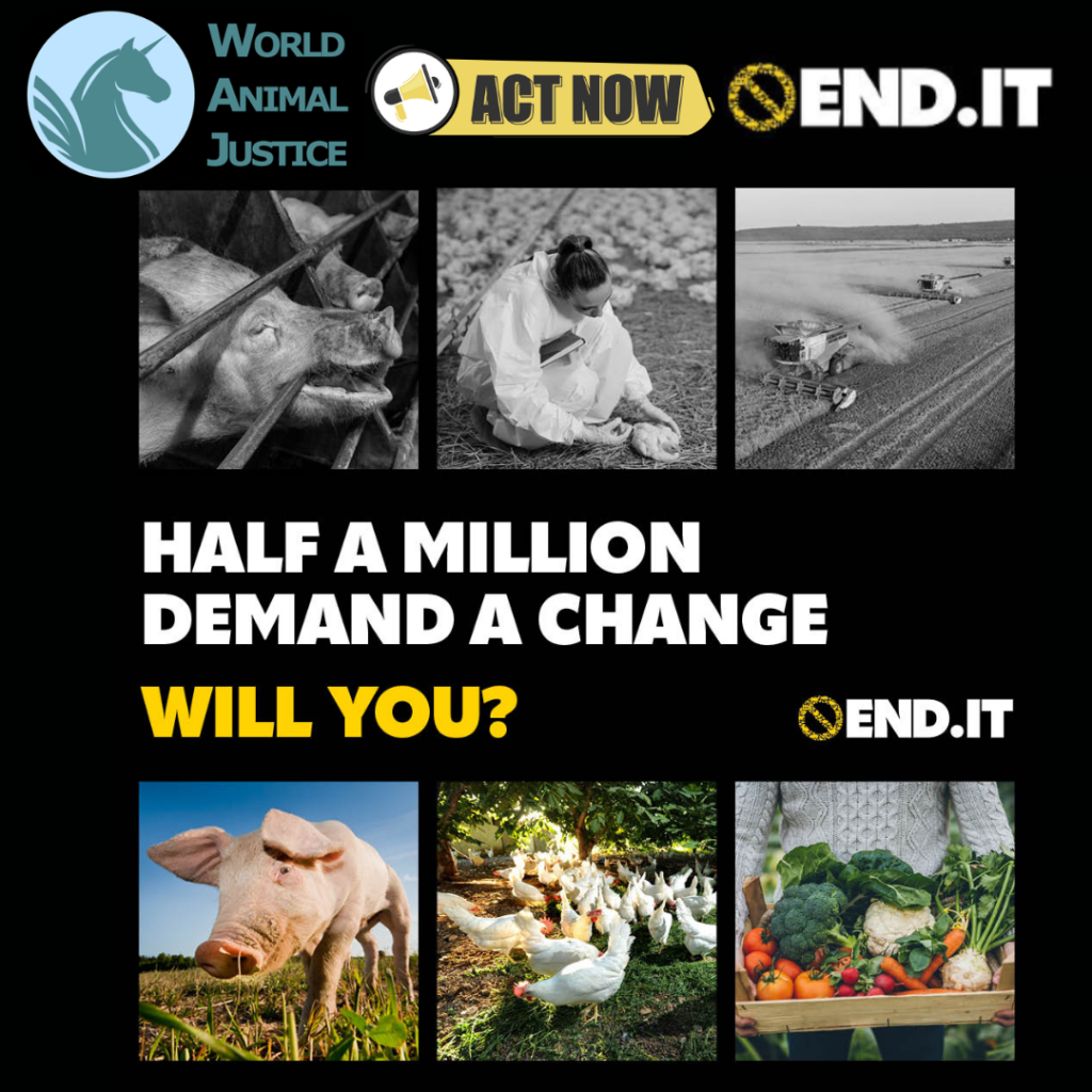 World Animal Justice: Defend animal rights-End animal crimes- Law